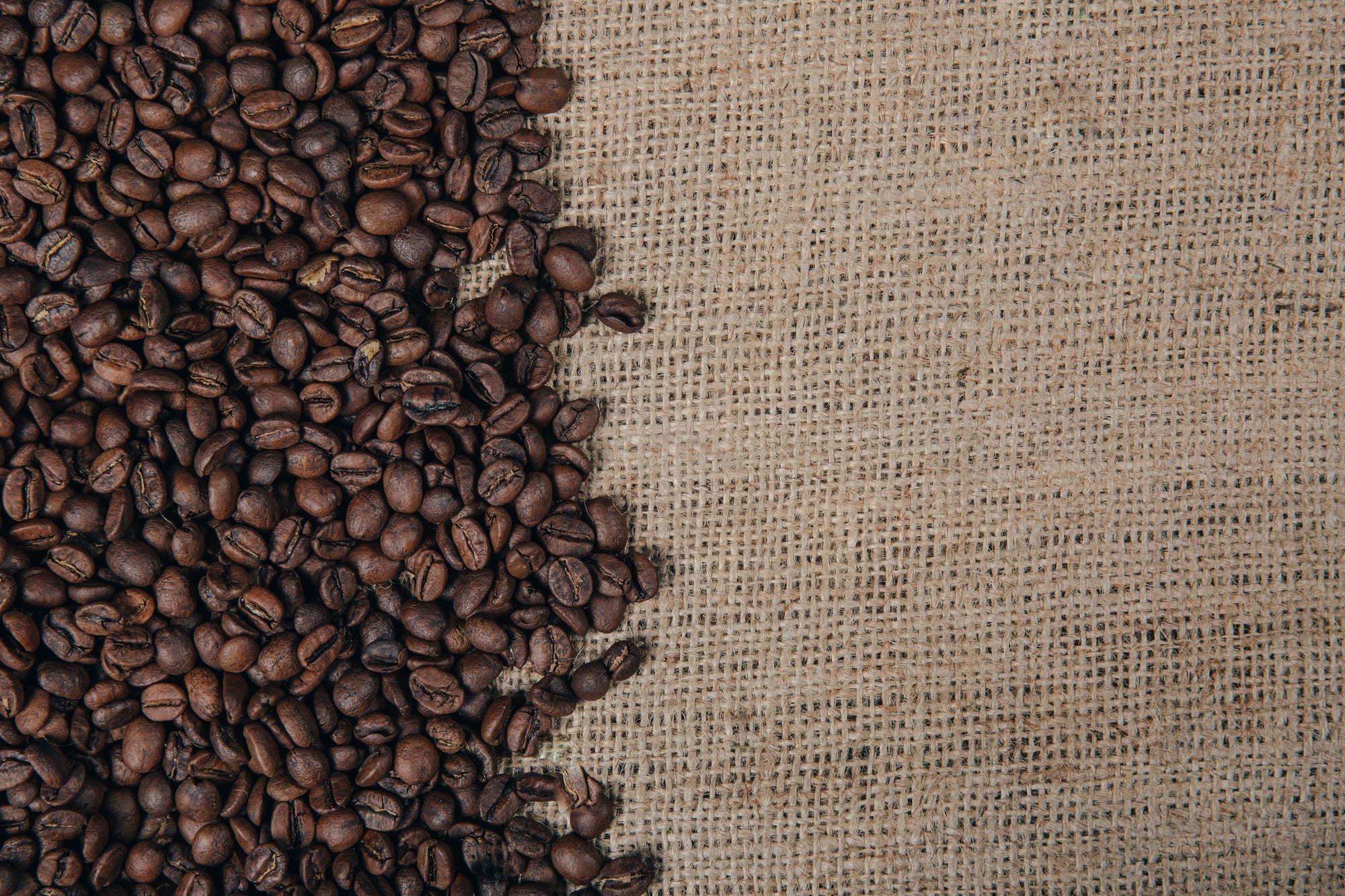 Curve Coffee Collaborators — Equilibrium Intertrade Corporation