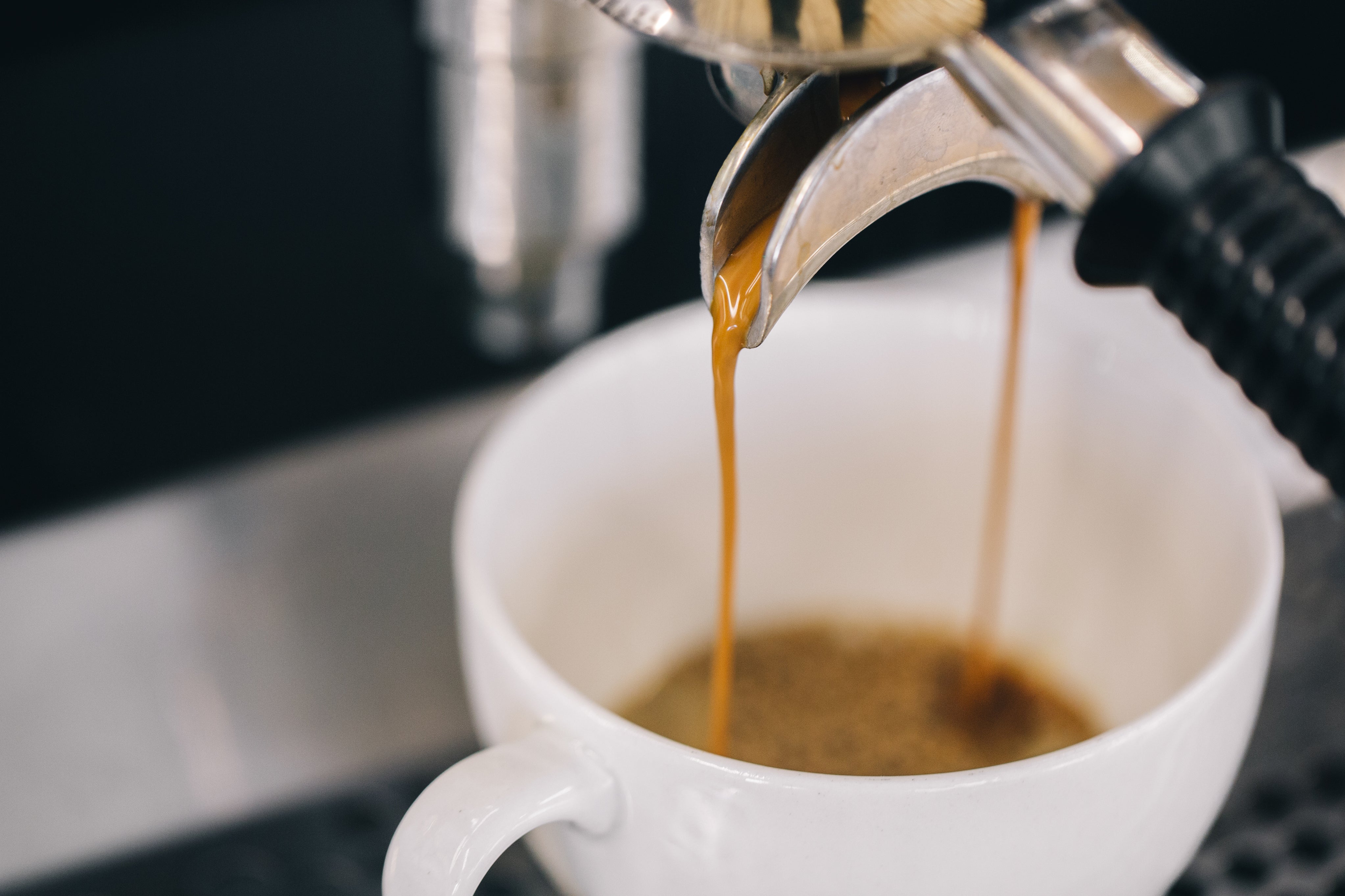 Coffee — Equilibrium Intertrade Corporation