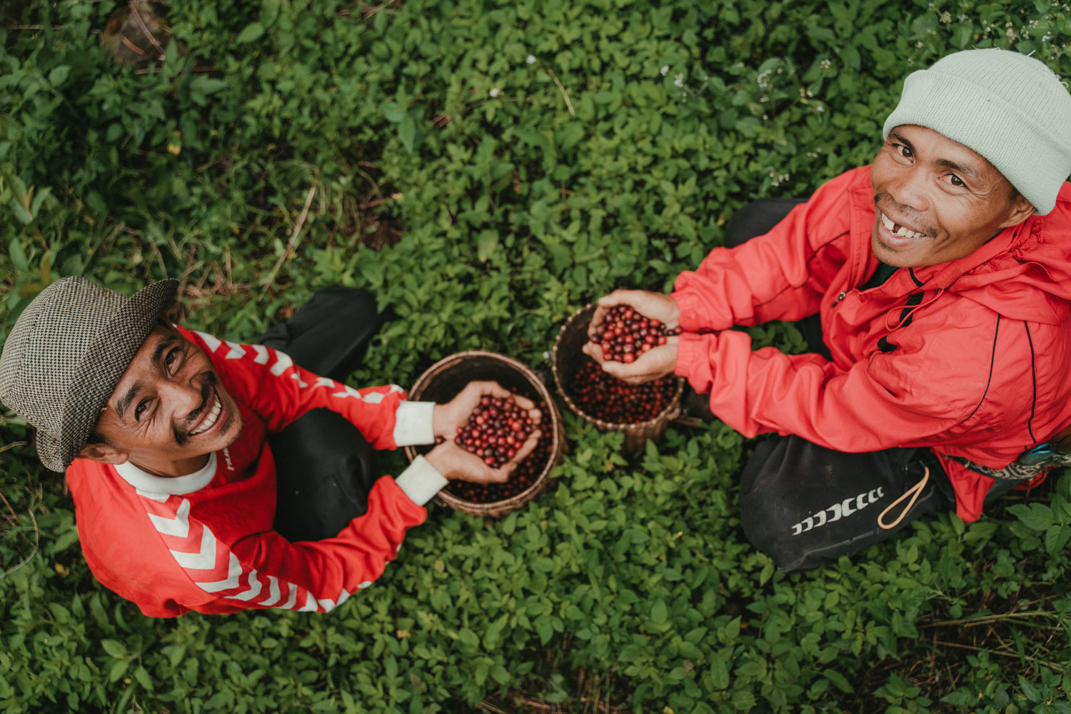 Curve Coffee Collaborators — Equilibrium Intertrade Corporation