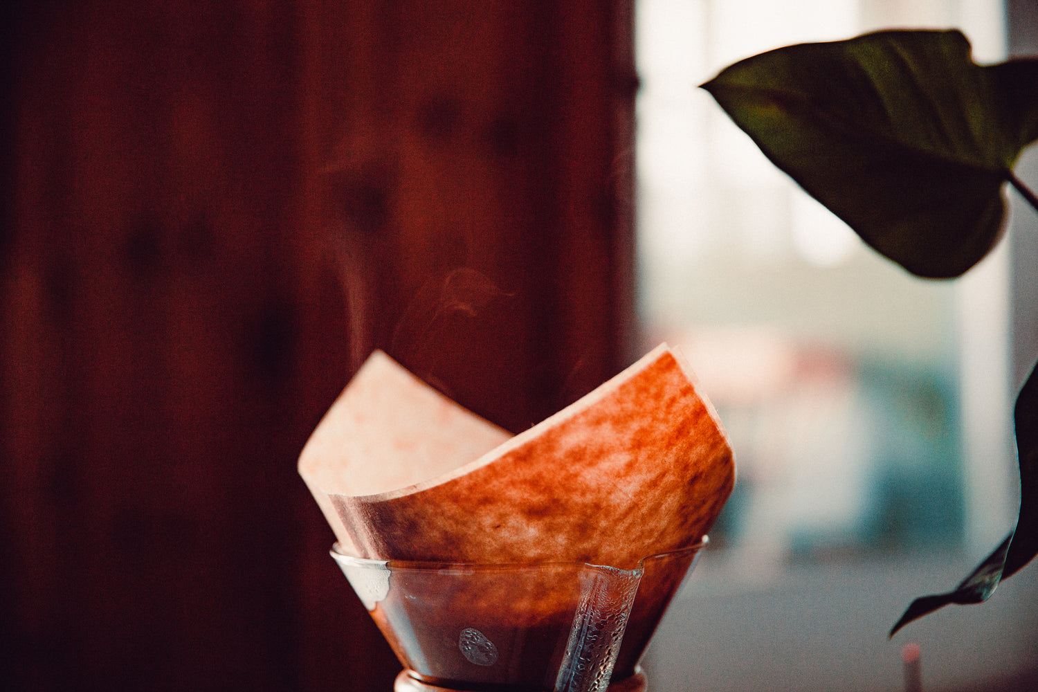 Coffee Gear — Equilibrium Intertrade Corporation